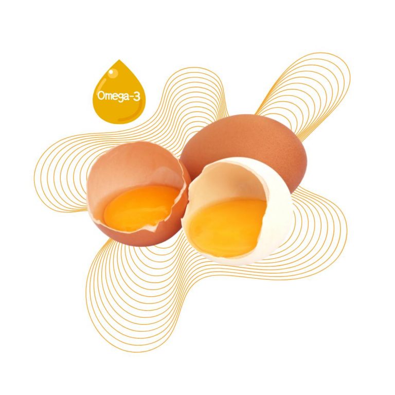 Telur Omega: Apa yang Membedakannya dengan Telur Biasa?